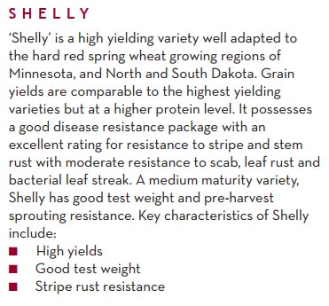 Products - Howe Seeds